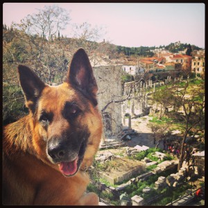 Hot Spots: Plaka Insider! Tips and Beautiful Pics.. - Cosmopoliti.com ...